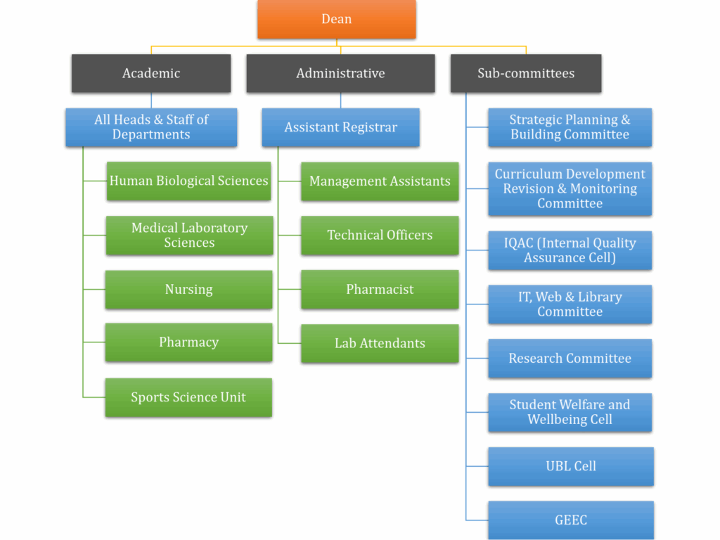 Organization Chart – Faculty of Allied Health Sciences